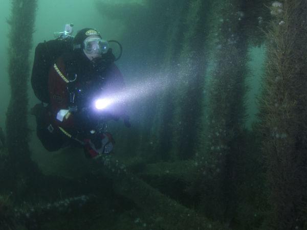 Annual Diving Incident Report - British Sub-Aqua Club