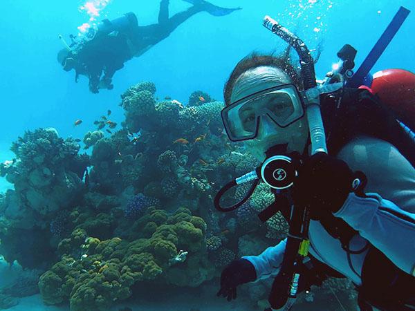 Top UK dive sites - British Sub-Aqua Club