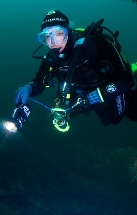 Learn To Scuba Dive - British Sub-Aqua Club