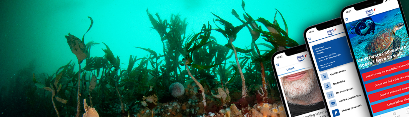 Stay connected with the MyBSAC app - British Sub-Aqua Club