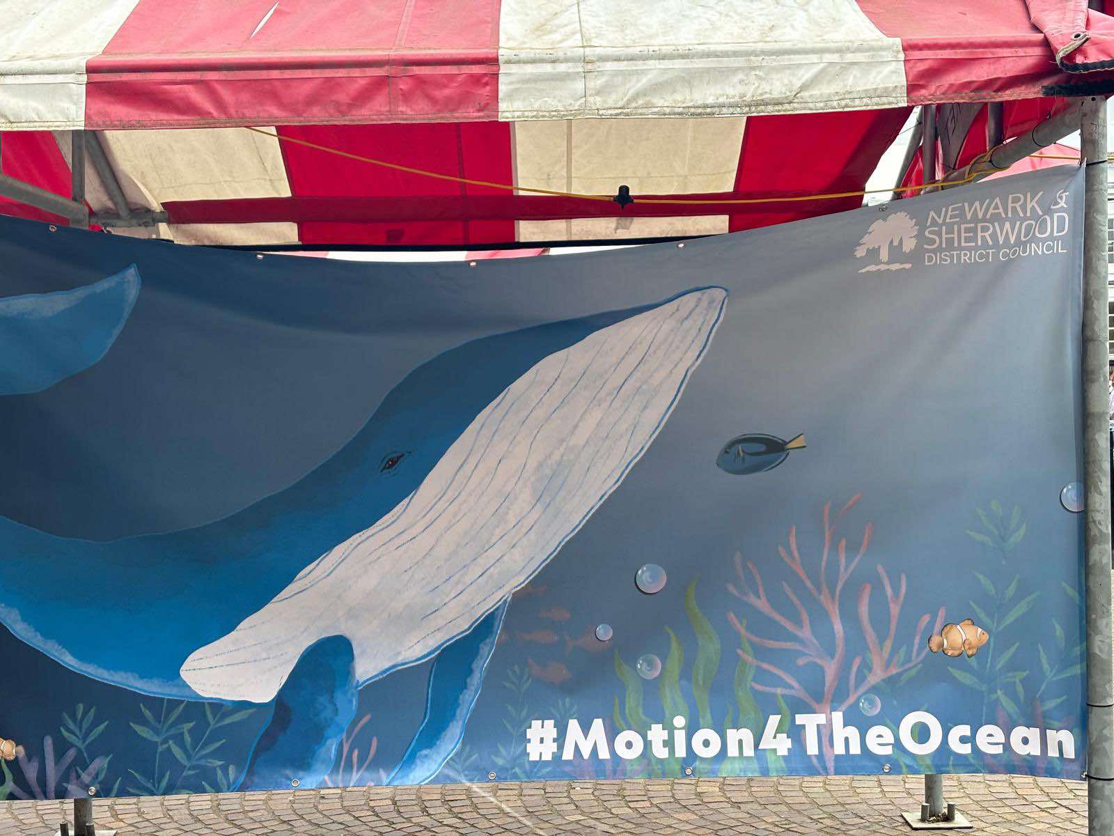 Motion for the Ocean: take action for our waters - British Sub-Aqua Club