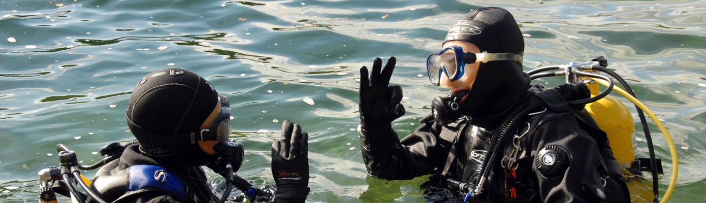 Qualified PADI, SAA or SSI Scuba Instructor? - British Sub-Aqua Club