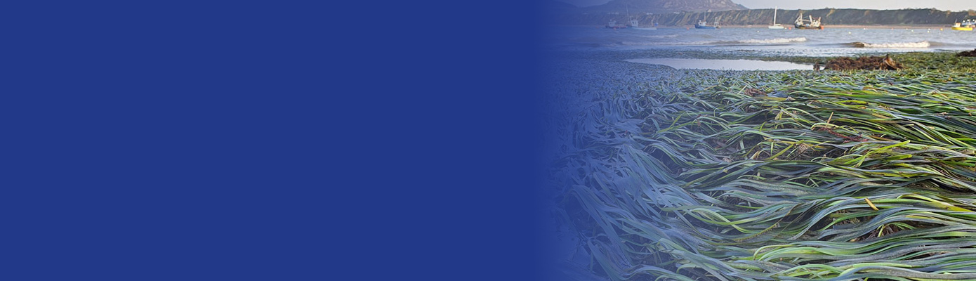 Environment-related BSAC training courses - British Sub-Aqua Club