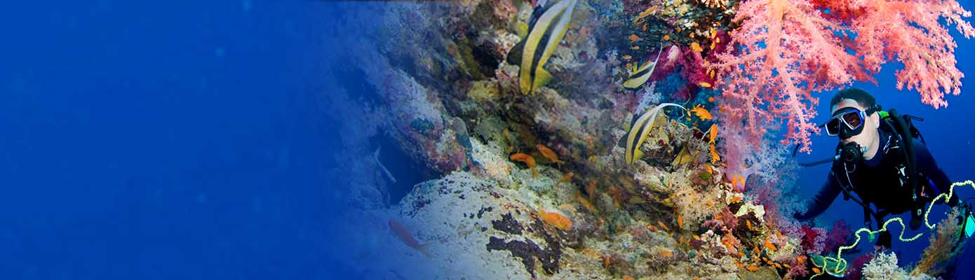 Become a BSAC Centre - British Sub-Aqua Club