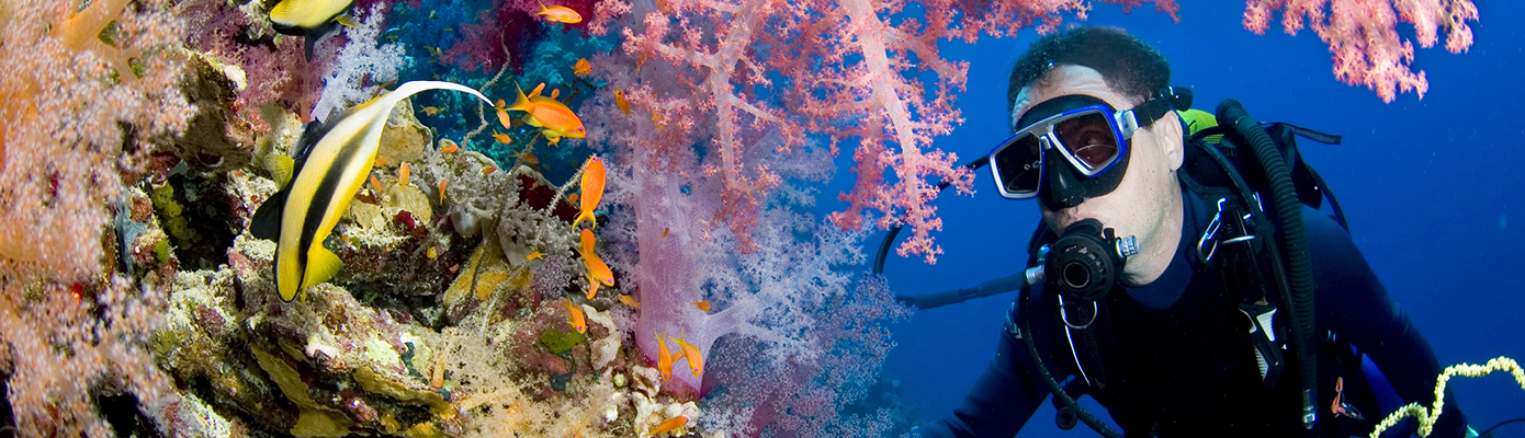 BSAC International - British Sub-Aqua Club