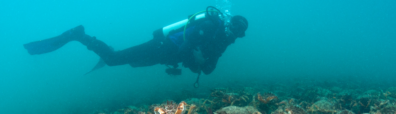 Become a BSAC Centre - British Sub-Aqua Club