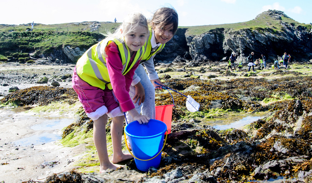 Free beach activity for kids this summer - British Sub-Aqua Club