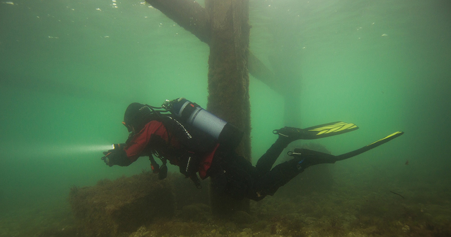 Tour of great British diving: south and west - British Sub-Aqua Club