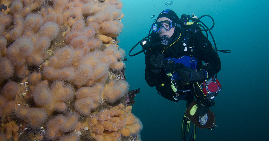 Blue Planet III needs YOU - British Sub-Aqua Club