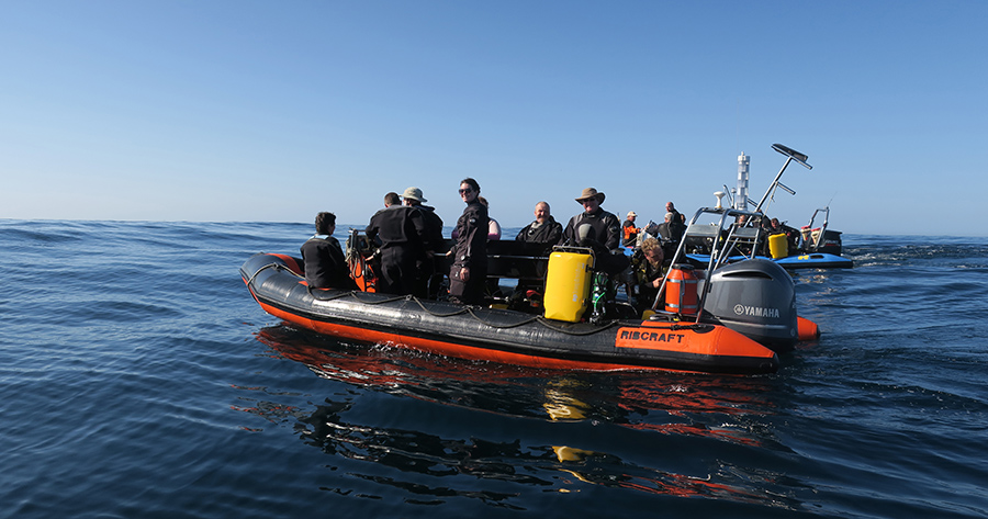 Master the art of boat handling for your club - British Sub-Aqua Club