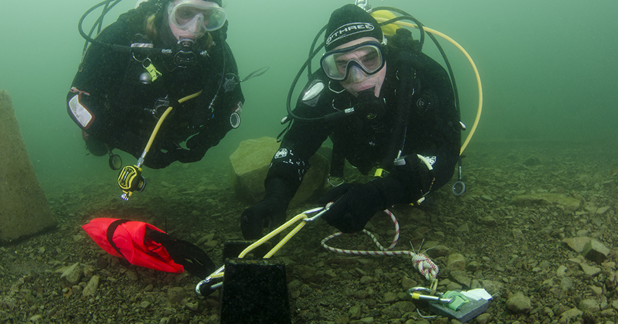 Act now! Book your 2026 BSAC scuba dive and snorkel training - British ...