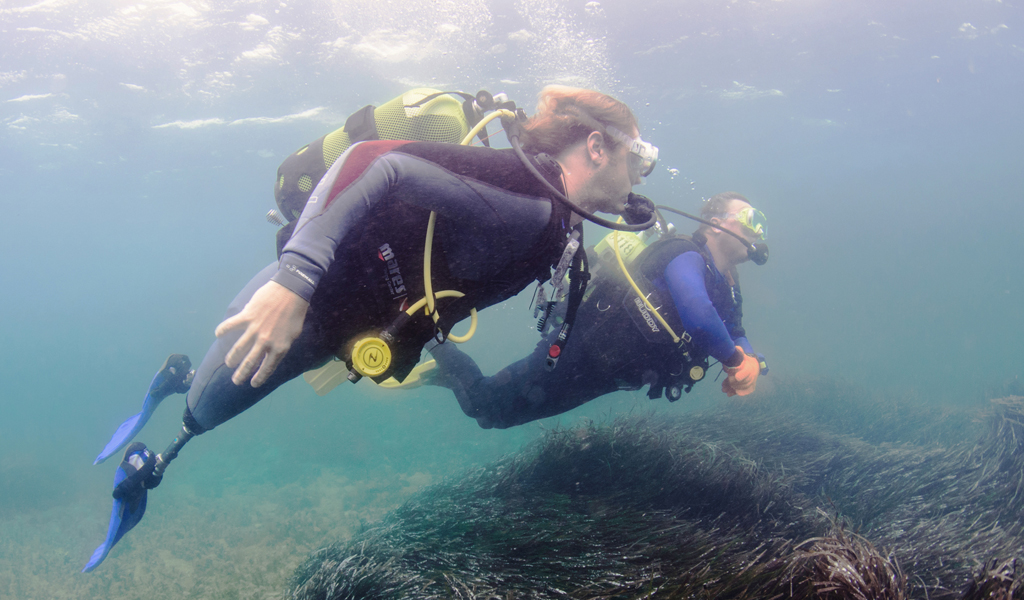 BSAC Clubs get involved in the Diving for All (DfA) Programme - British ...