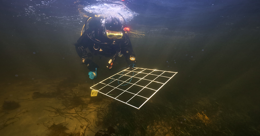Three skills courses to take your diving to another level - British Sub ...