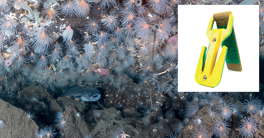 Avoiding Entrapment - British Sub-Aqua Club