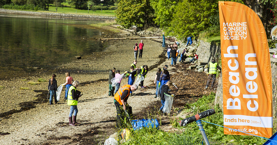 Join the Great British Beach Clean - British Sub-Aqua Club