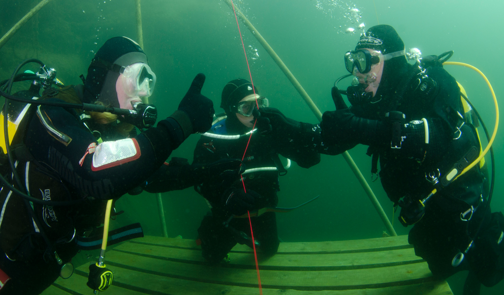 New easier route for PADI, SSI, SAA (and other agency) scuba ...