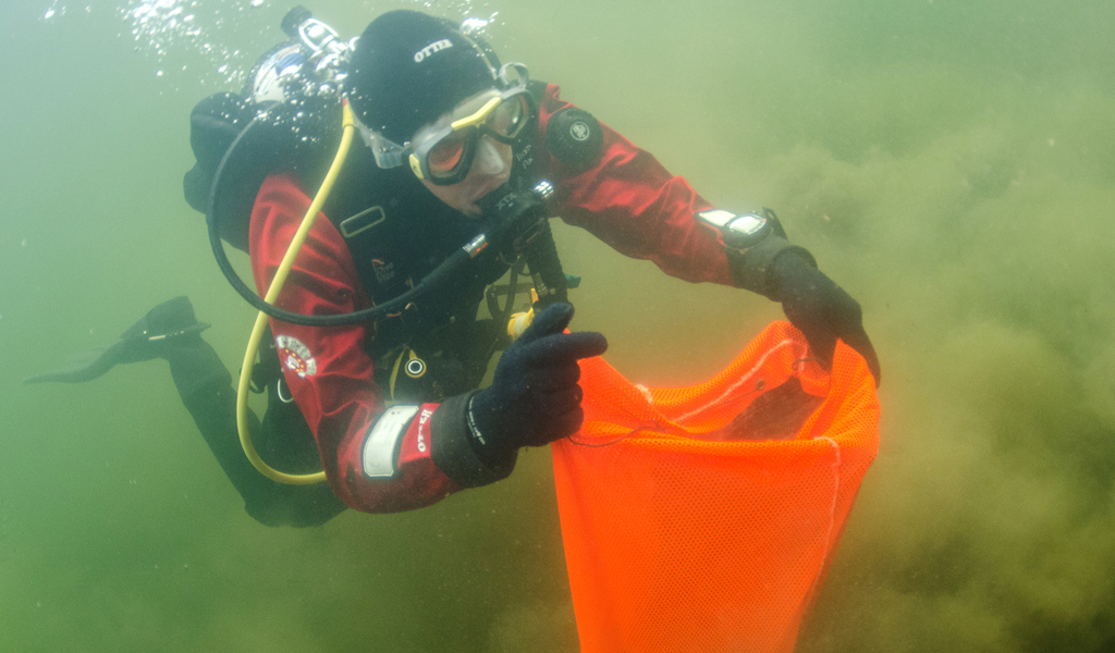 Marine Management Organisation (MMO) releases updated marine licensing ...