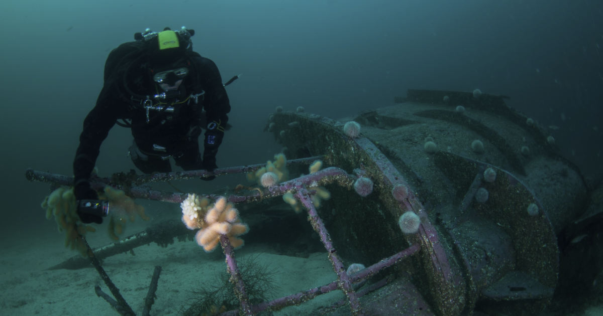 Get funded for project diving - British Sub-Aqua Club