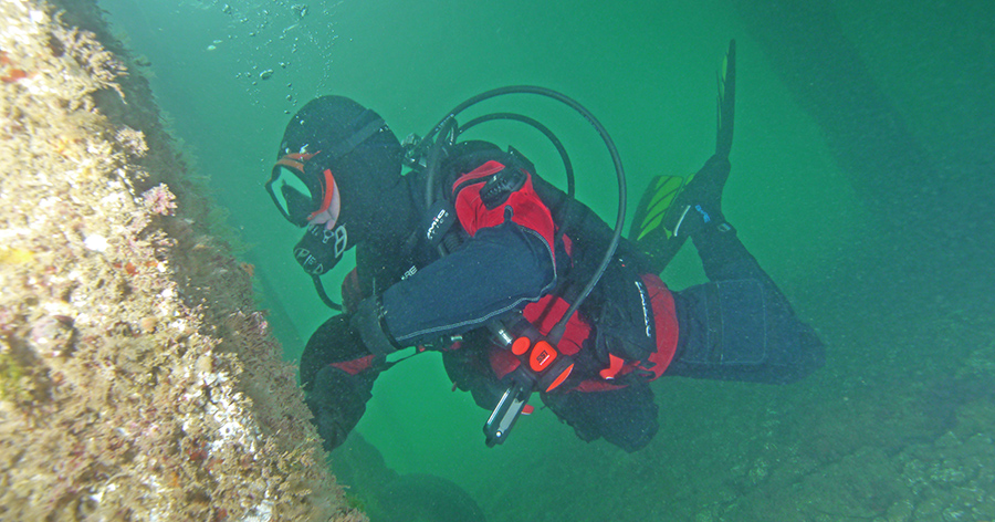 Pier review: fabulous scuba diving in Swanage, Dorset - British Sub ...