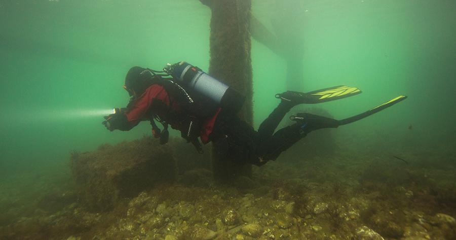 12 Dives of Christmas - British Sub-Aqua Club