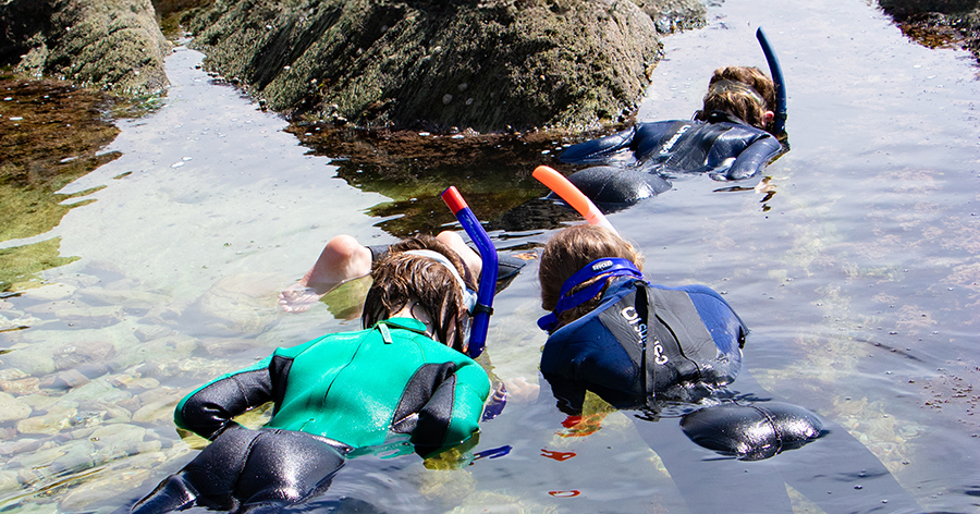 Scotland hosts first Snorkel Festival this June - British Sub-Aqua Club