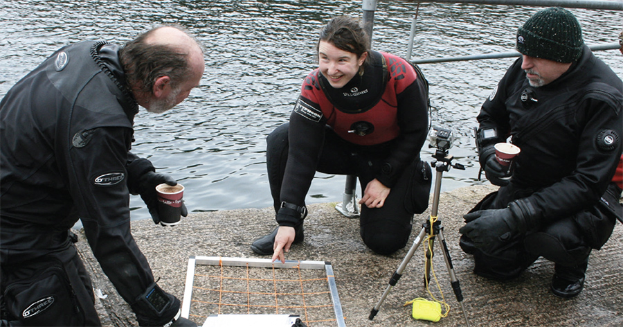 Tips for underwater surveys - British Sub-Aqua Club