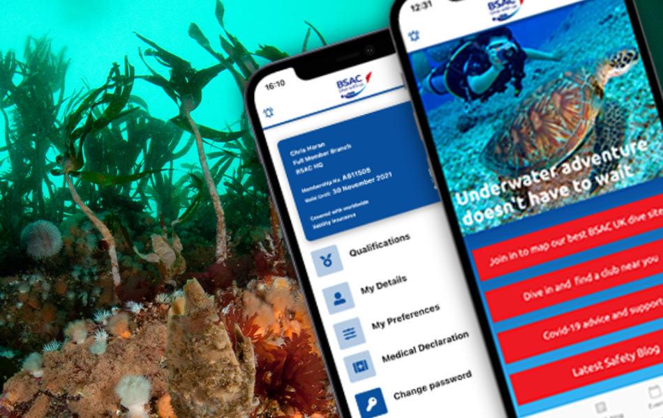 QCards - British Sub-Aqua Club